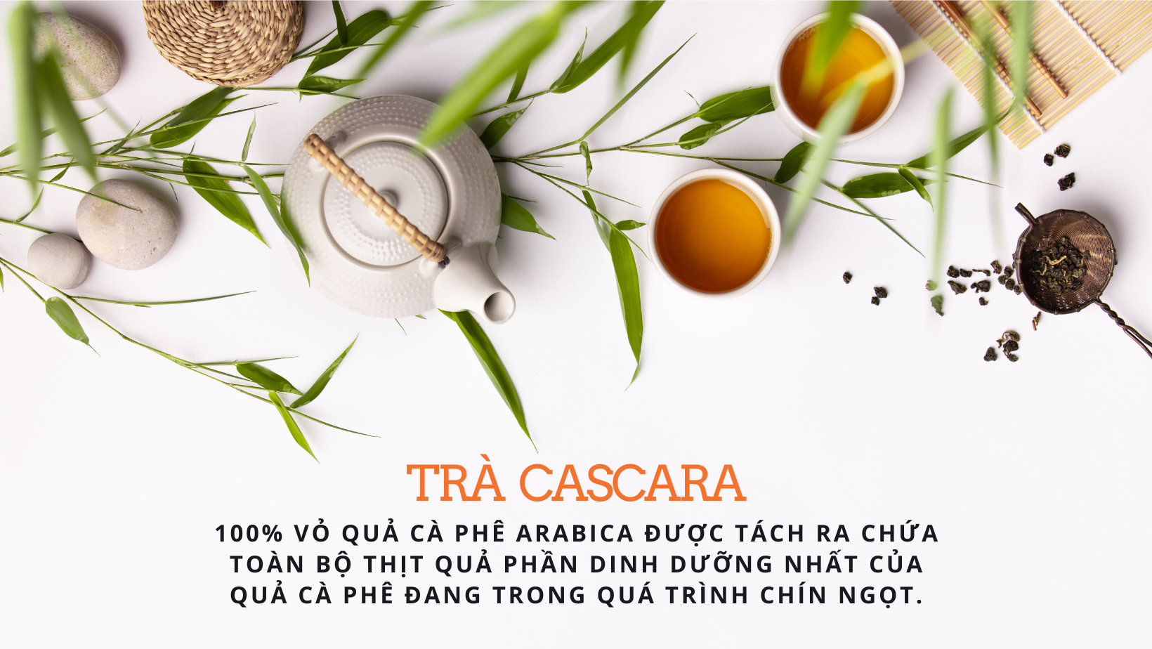 TRÀ CASCARA – Greenhub không gian xanh